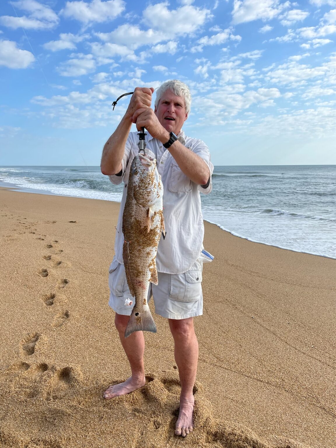 Red Drum Catches On Outer Banks 4/28/22 | Bob's Bait & Tackle